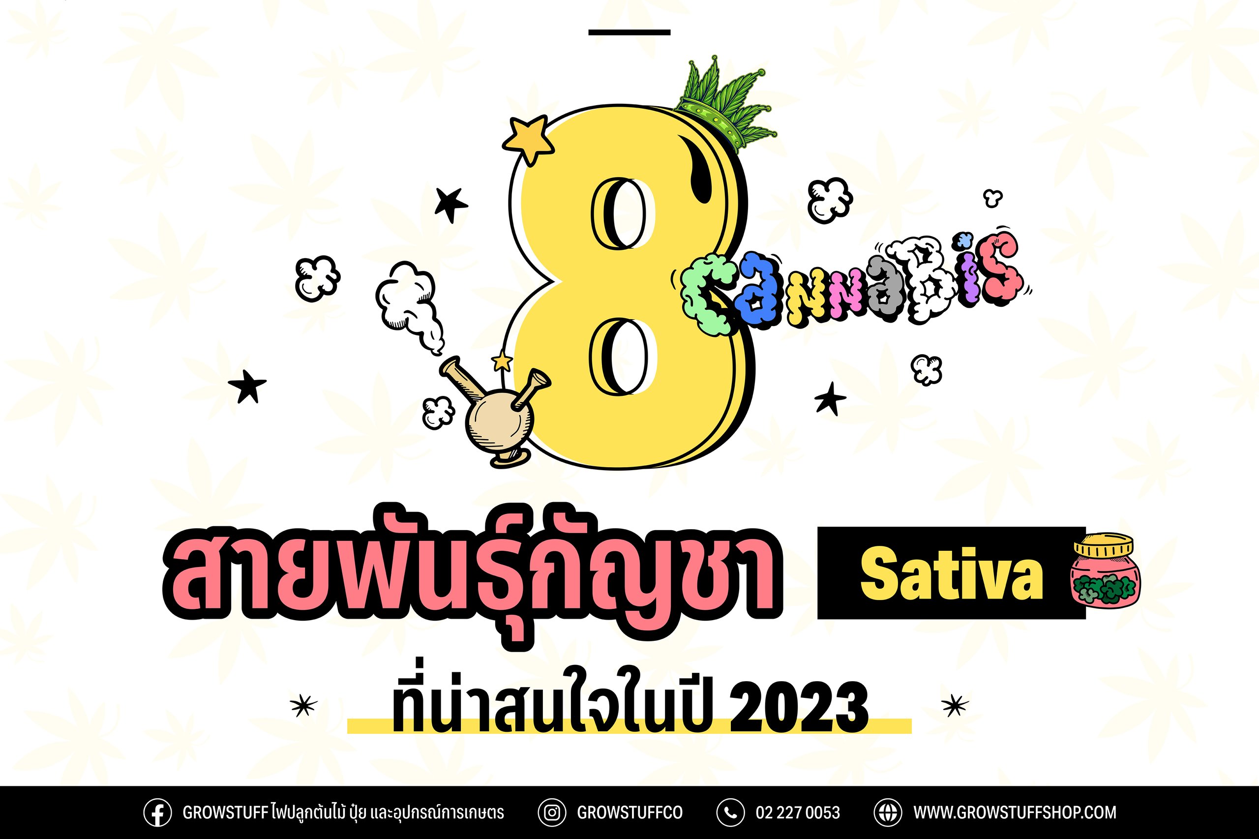 8 สายพันธุ์กัญชา Sativa ที่น่าสนใจในปี 2023 - GrowStuff Shop อุปกรณ์ปลูกต้นไม้