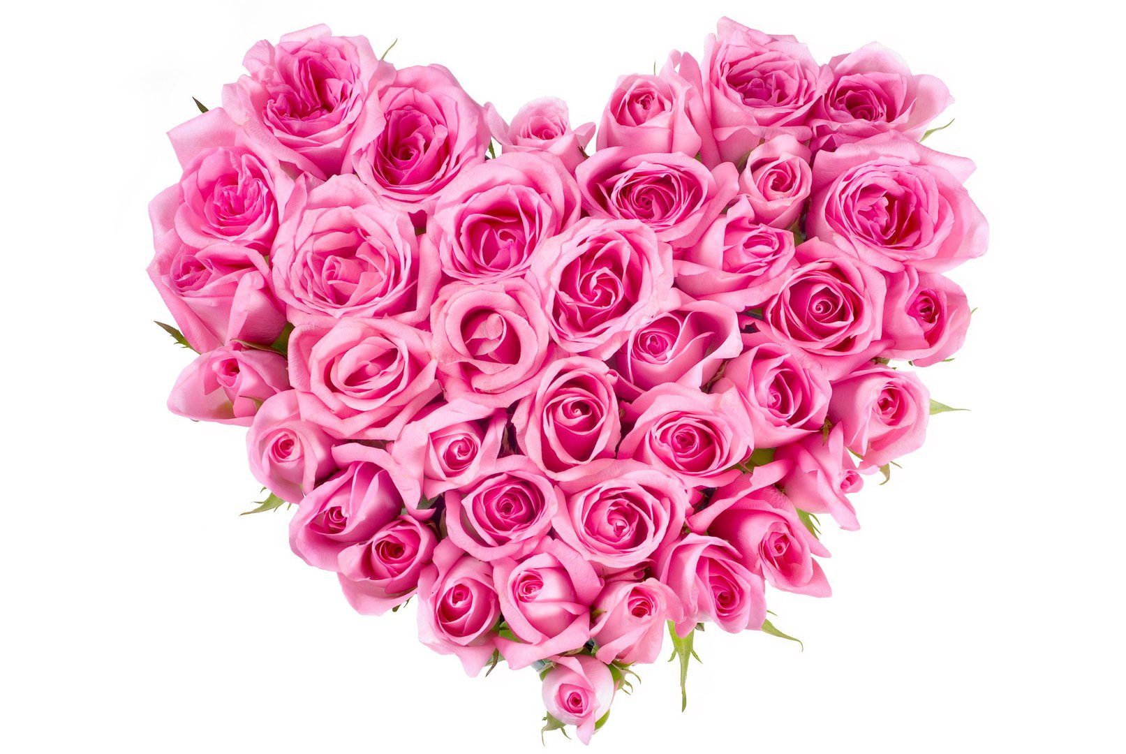 About Us – Bloom Haus & Co.