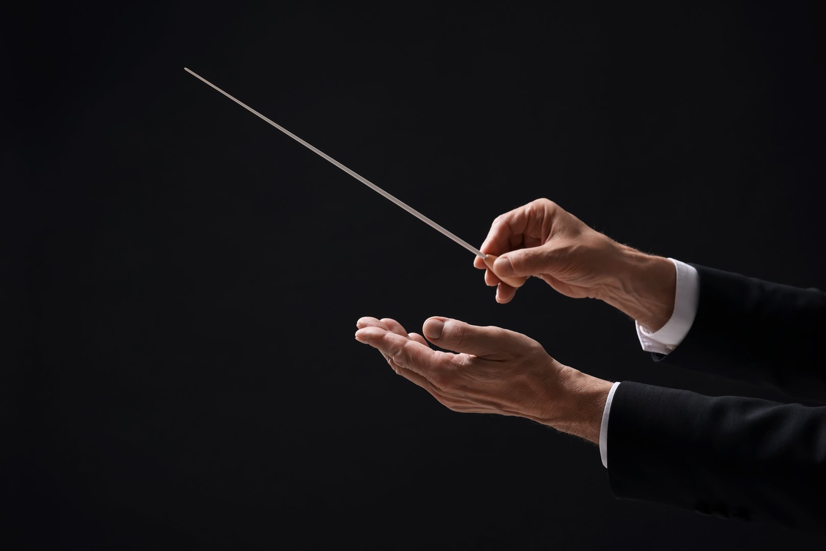 UAE Philharmonic Orchestra | A Symphony of Excellence