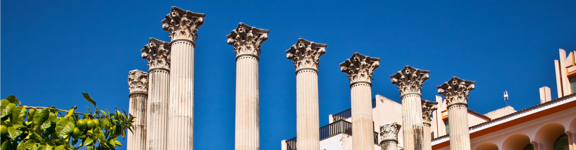 Axerquia Free Tour Cordoba | Strawberry Tours