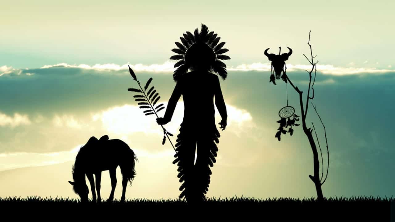 The Wisdom of 12 Totem Animals in Native American Culture