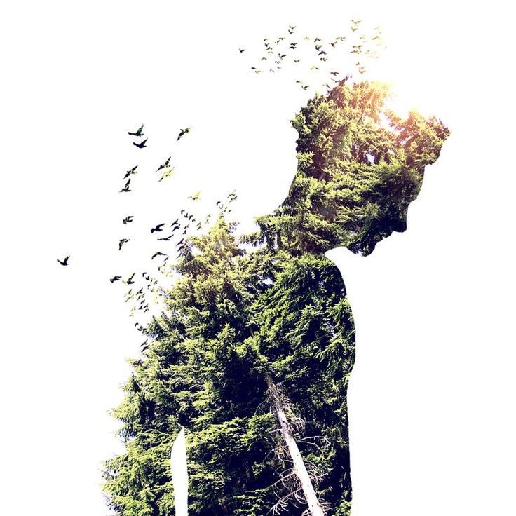 The Symbolism of Earth and Earth Signs in Astrology