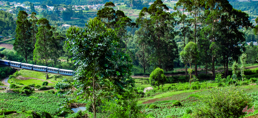 Catherine Falls Coonoor - Timings & Location