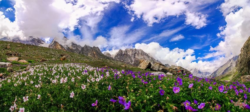 Places to Visit in Valley of Flowers - Top Attractions & Tips
