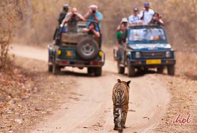Things to do in India with Kids or Toddlers