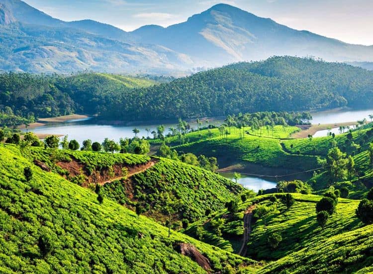 24 Hours in Munnar: Top Attractions & Activities to Enjoy