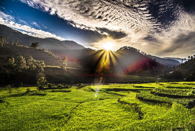 Top 40 Ultimate Romantic Destinations in India for Couples