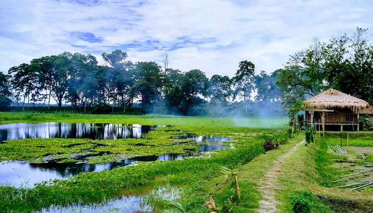 Majuli, World’s Largest River Island - Eco-friendly Destinations