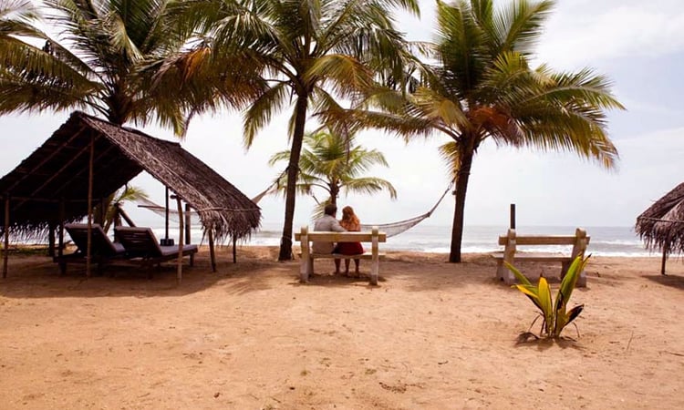 9 Best Luxury Ayurveda Resorts in Kerala for 2026 | Indian Holiday