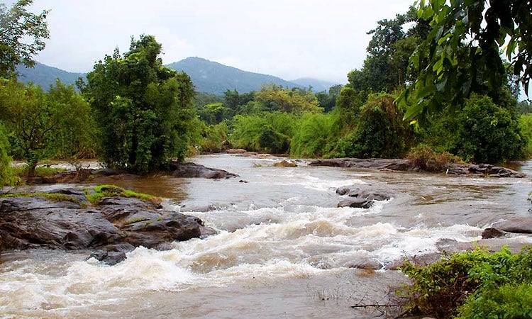 Kodanad Travel Guide 2026 | Indian Holiday