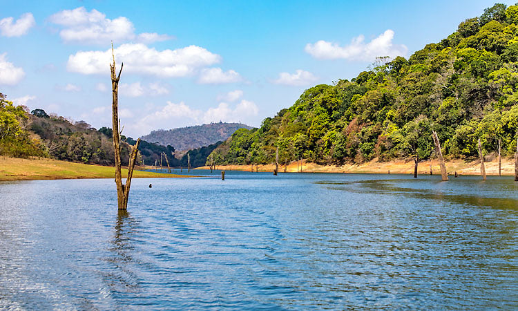 Kodanad Travel Guide 2026 | Indian Holiday