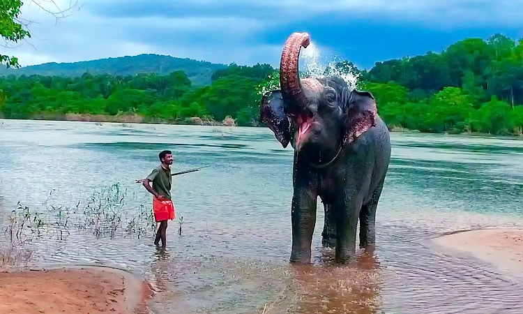 Kodanad Travel Guide 2026 | Indian Holiday