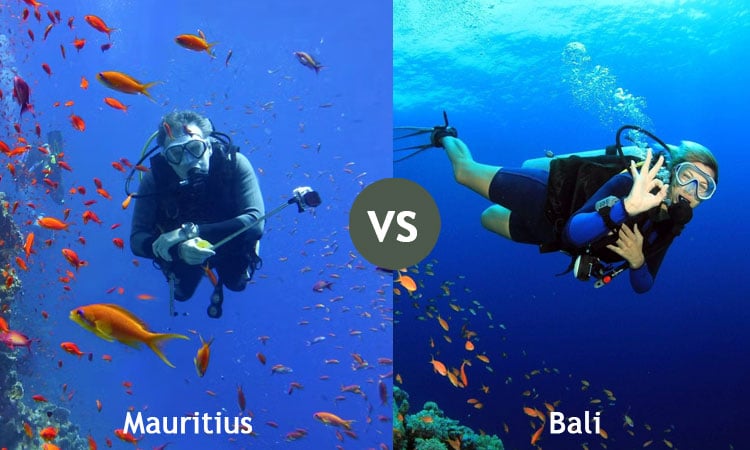 Bali vs Mauritius: Which Island is Best for You? | Indian Holiday