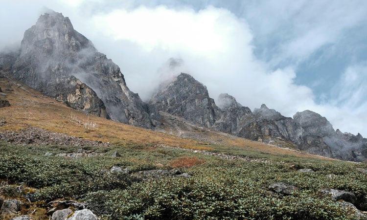 Best Places to Visit in Binsar for Nature & Peace | Indian Holiday