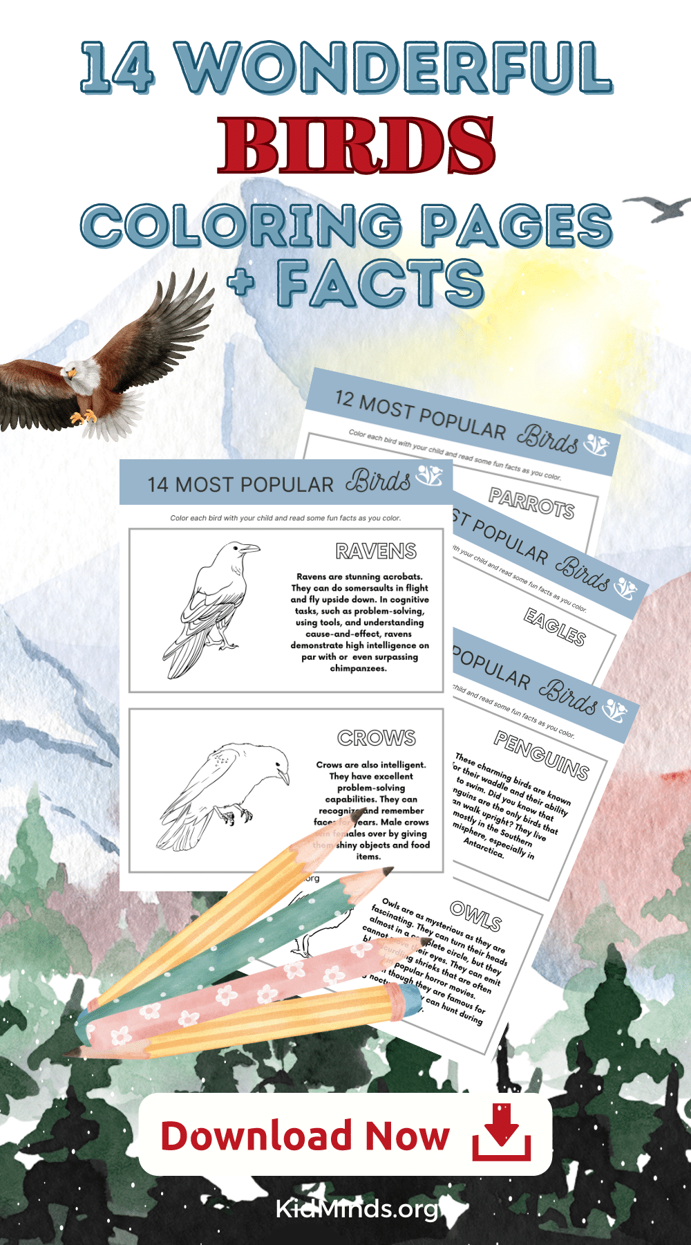 The Best Bird Facts and Coloring Pages (Free PDF) | KidMinds