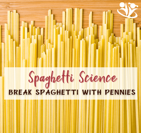 The Amazing Spaghetti Experiment: How Many Pennies Does it Take to ...