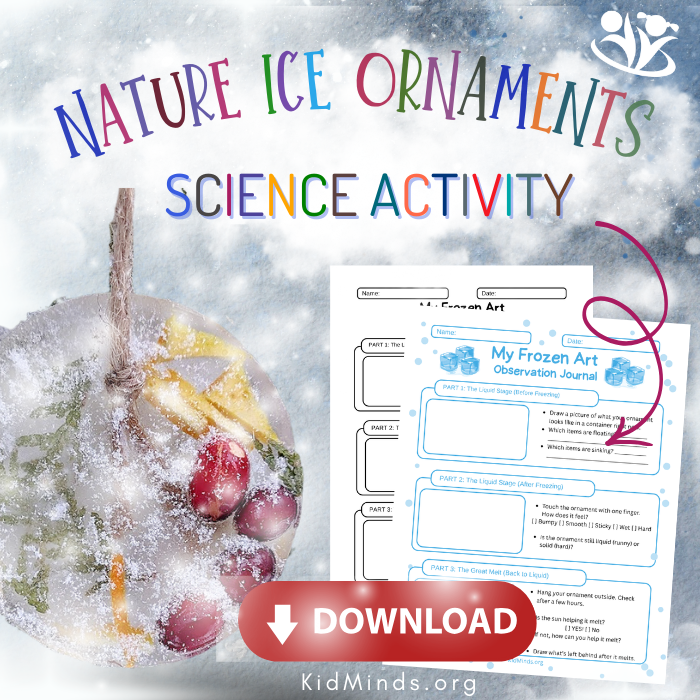 How to Make DIY Nature Ice Ornaments (Free PDF) | KidMinds