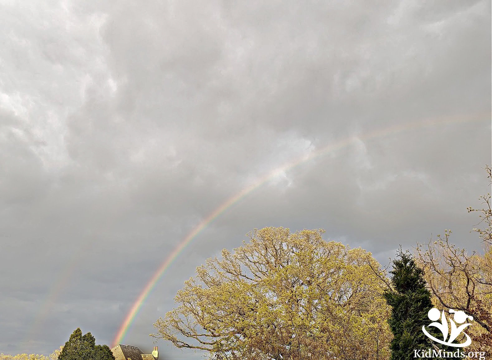 The Best Rainbow Riddles for Kids (Free PDF) | KidMinds