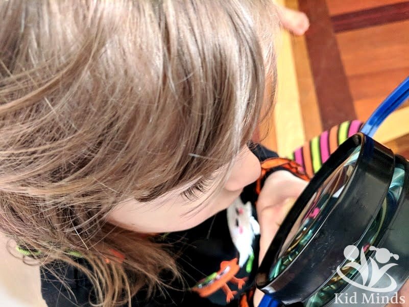 The Best Pupil Dilation Experiment (Free PDF) | KidMinds