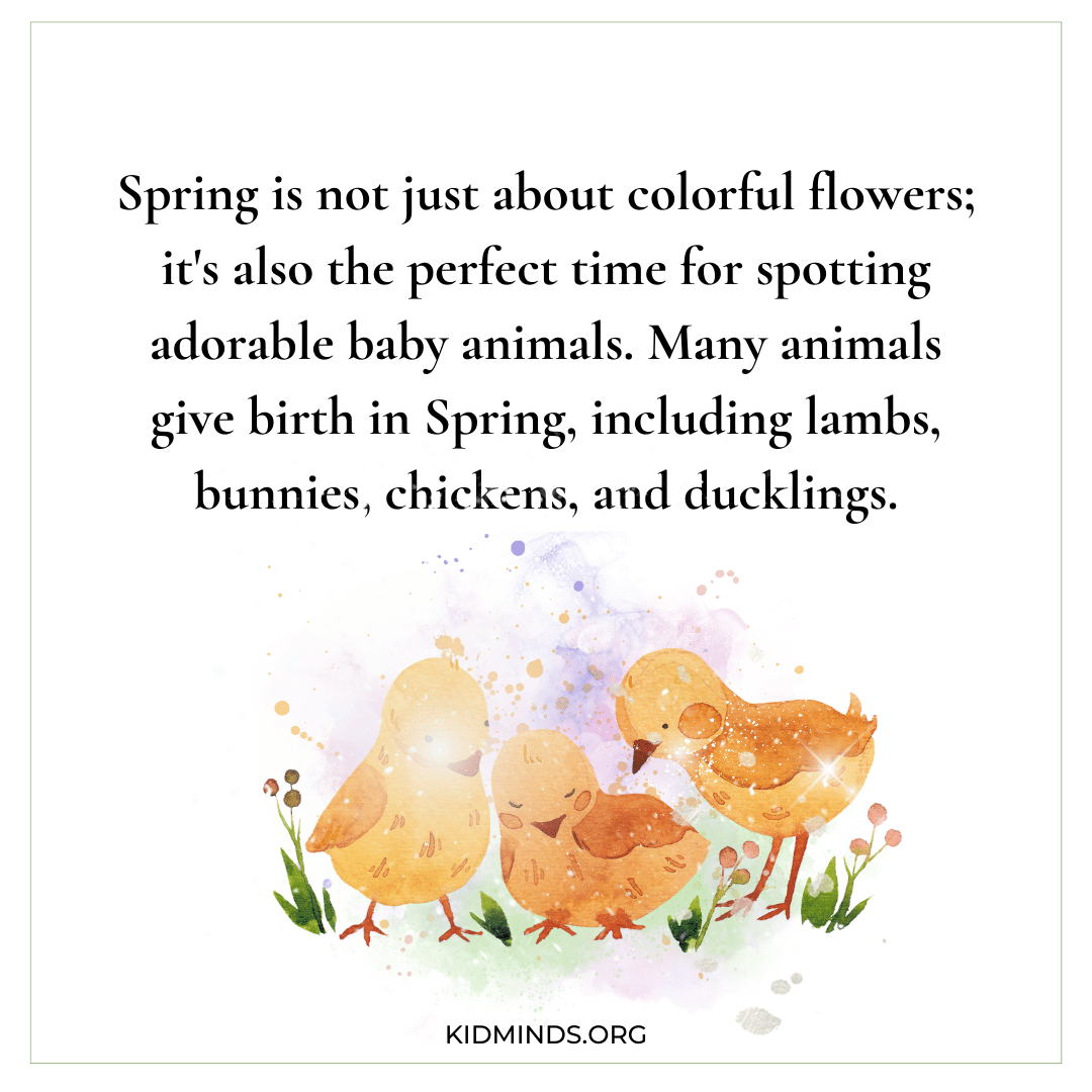 The Best Facts about Spring for Kids (Free PDF) | KidMinds