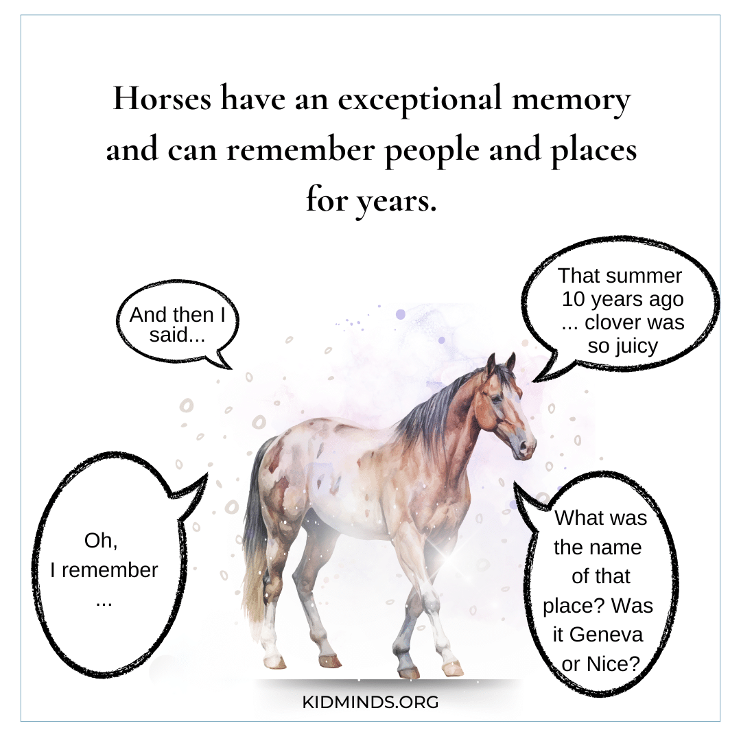 The Best & Most Fascinating Horse Facts (Free) | KidMinds