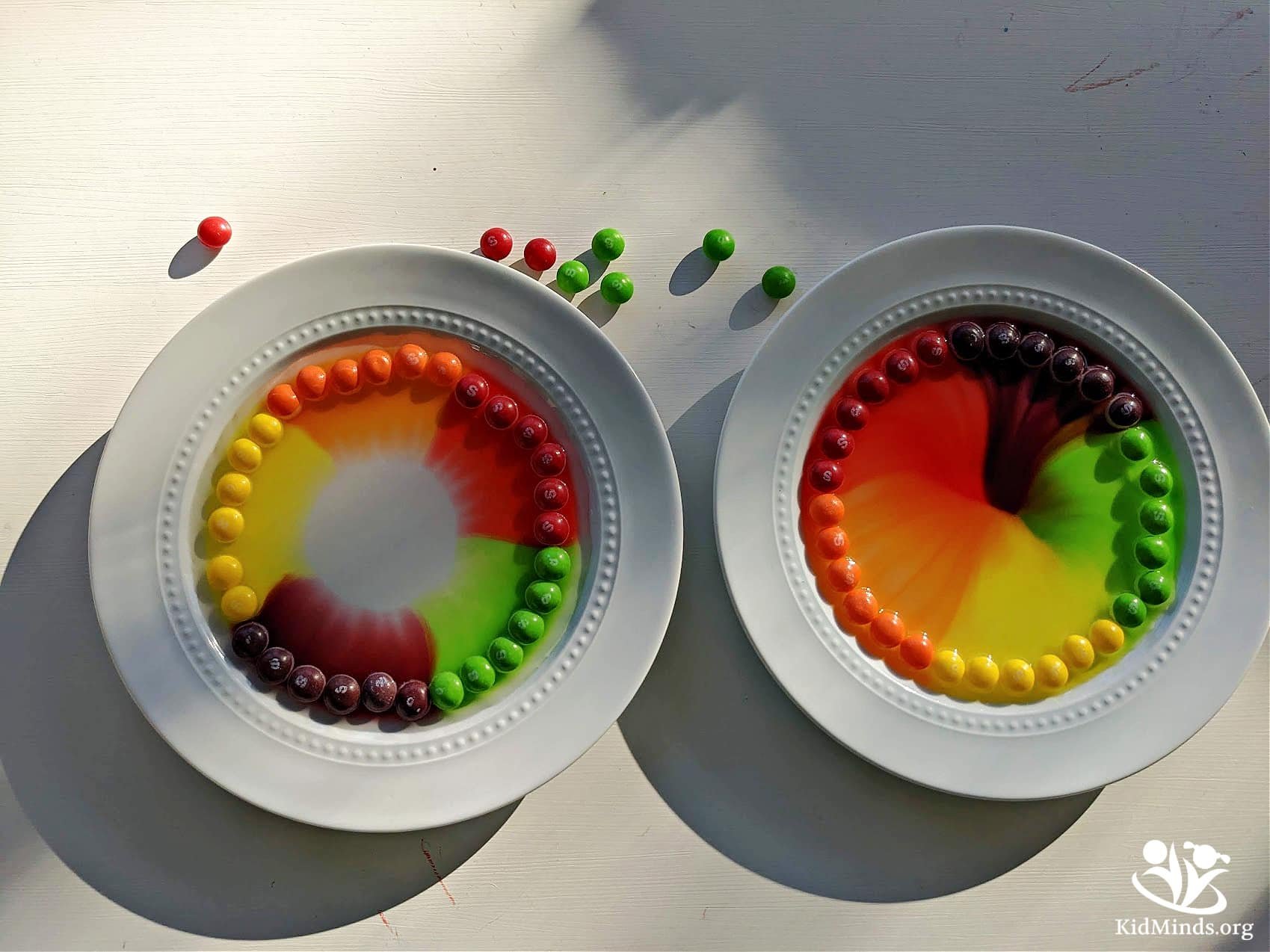 How to Make Skittles Science Experiment (Free PDF) | KidMinds