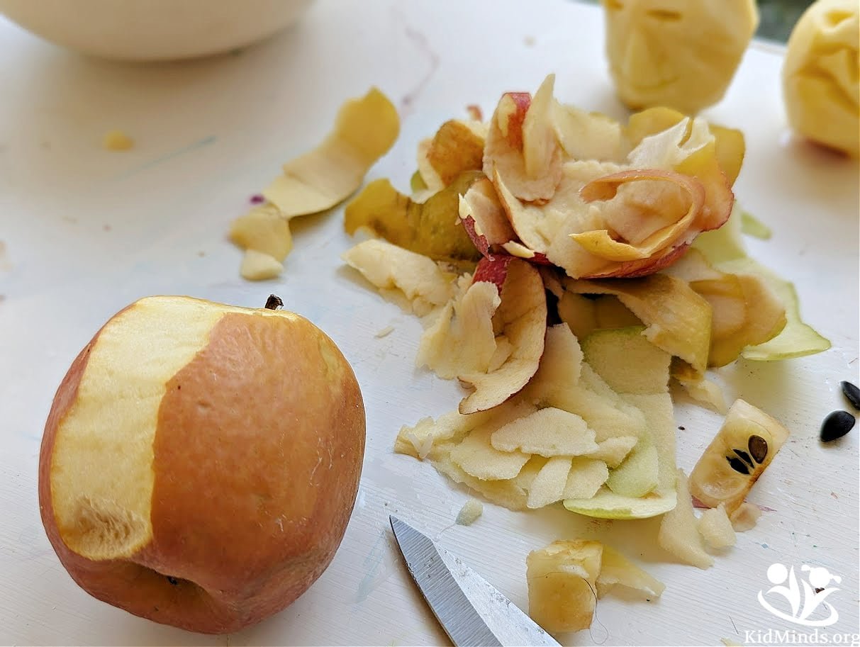 How to Make Shrunken Apple Heads | KidMinds