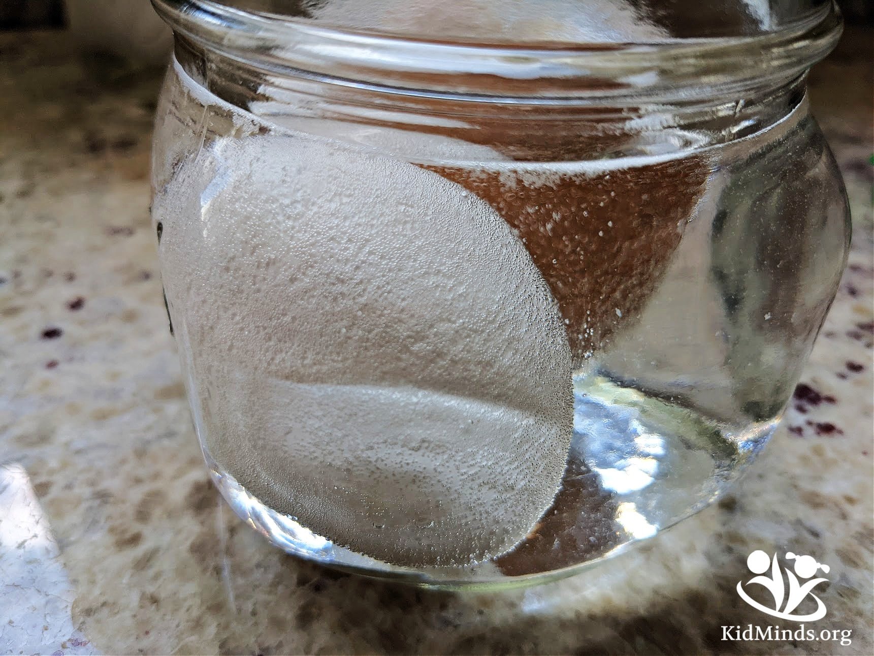 The Best Egg Science (With Lots of Free Printables) | KidMinds