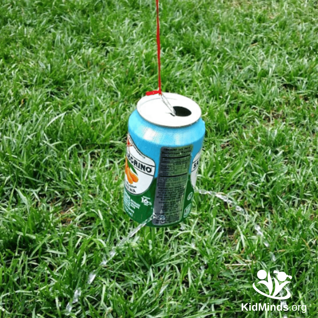 15 Easy Mind Blowing Science Activities to Do Outside | KidMinds