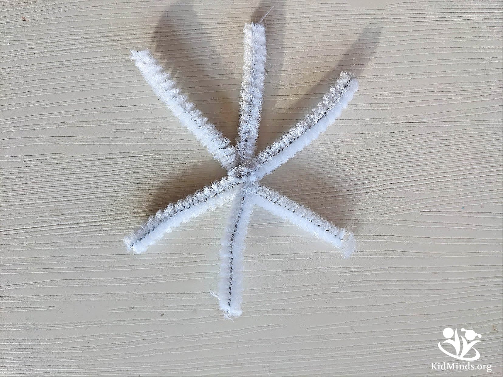 How to Make Crystal Snowflakes from Borax | KidMinds