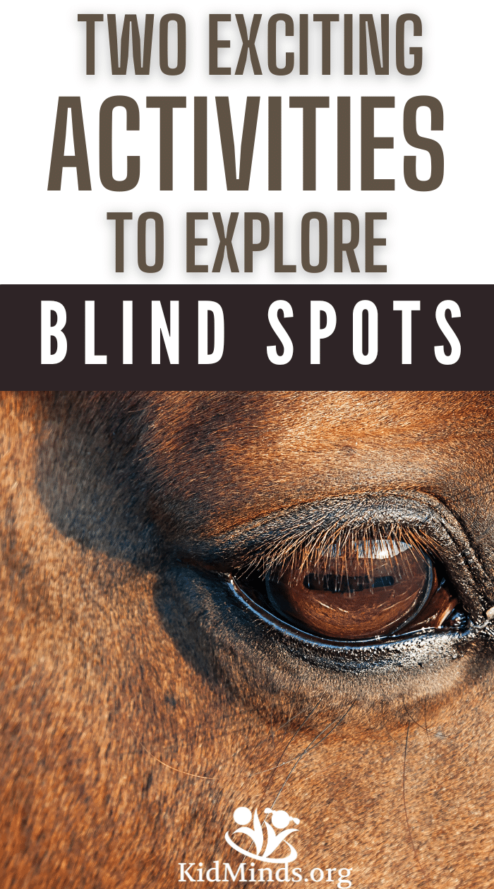 The Best & Most Exciting Blind Spot Experiments | KidMinds