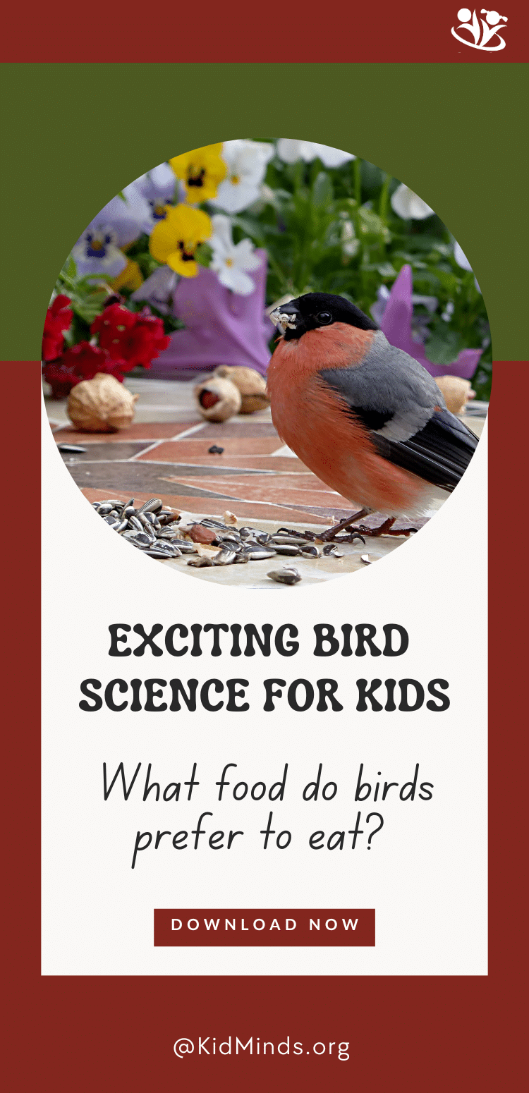 Exciting Bird Science: The Best Snacks for Birds | KidMinds