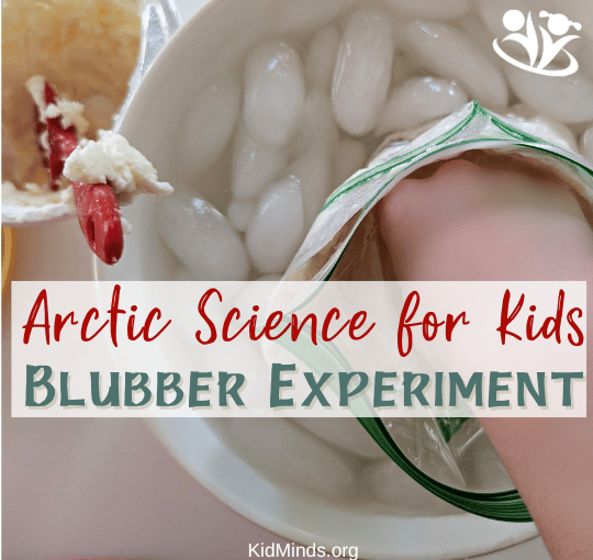 How to Make a Blubber Glove: Science + Free PDF | KidMinds