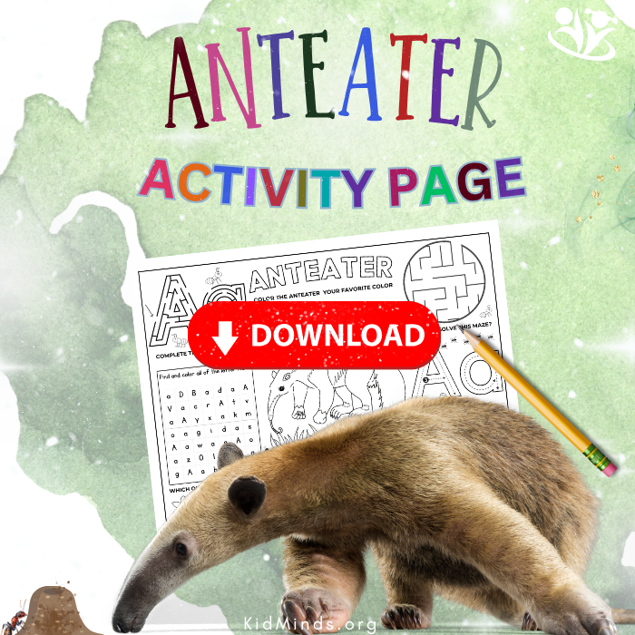 The Best Anteater Activity Page for Kids (Free) | KidMinds