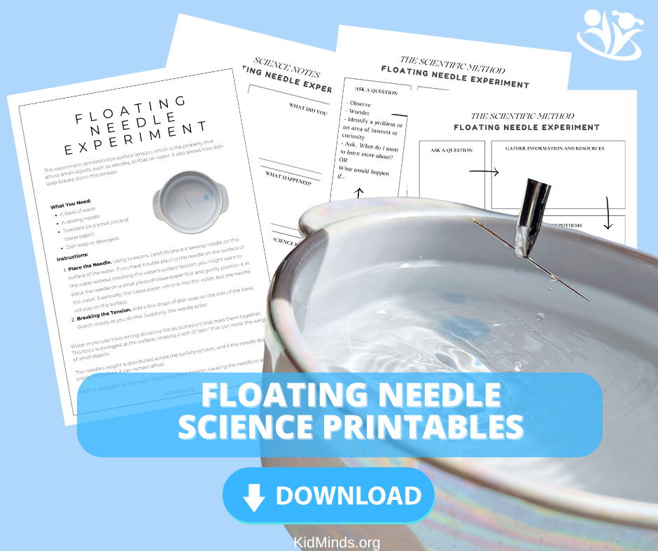 How to Make a Floating Needle Sink (Free PDF) | KidMinds