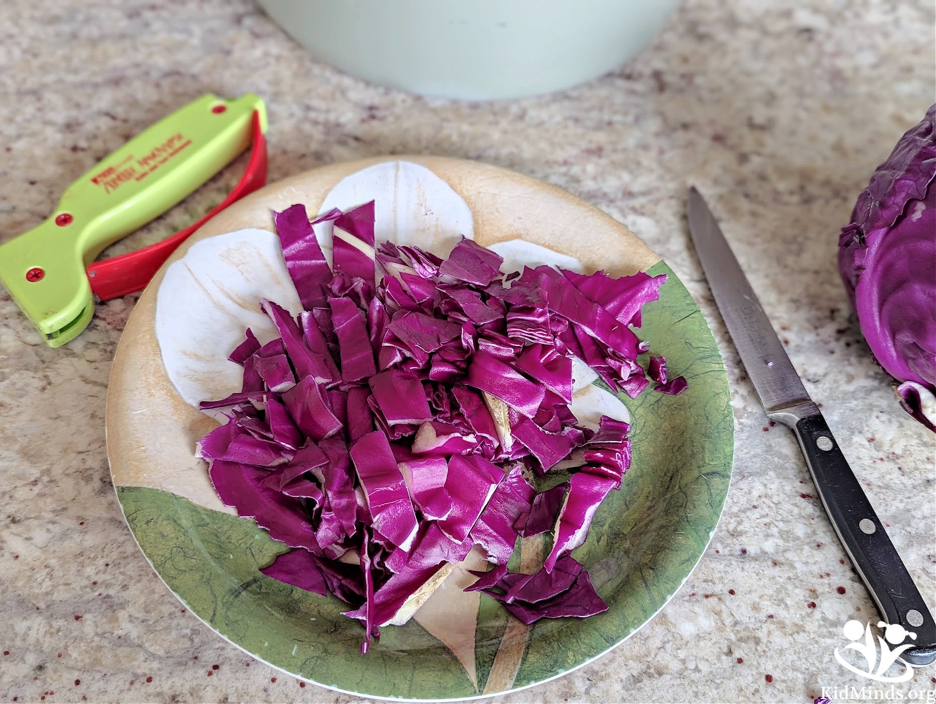 The Best Easter Egg Dye: Red Cabbage (Free PDF) | KidMinds