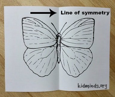 Symmetry for Little Kids Art Project with Free Printables | KidMinds