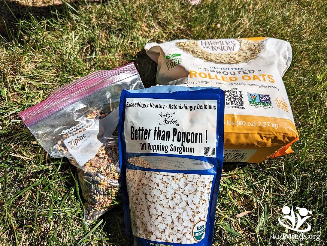 Exciting Bird Science: The Best Snacks for Birds | KidMinds