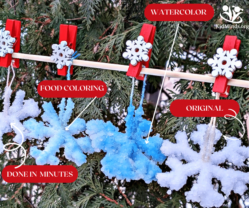 How to Make Crystal Snowflakes from Borax | KidMinds