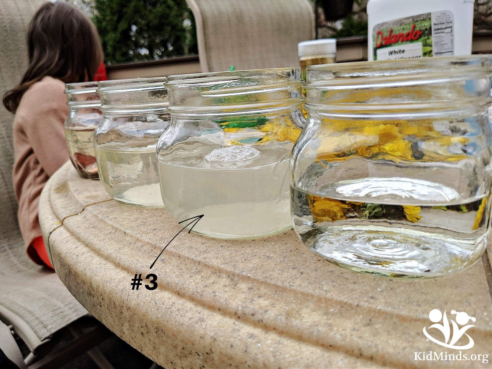 The Best Flower Science Experiment (Free PDF) | KidMinds