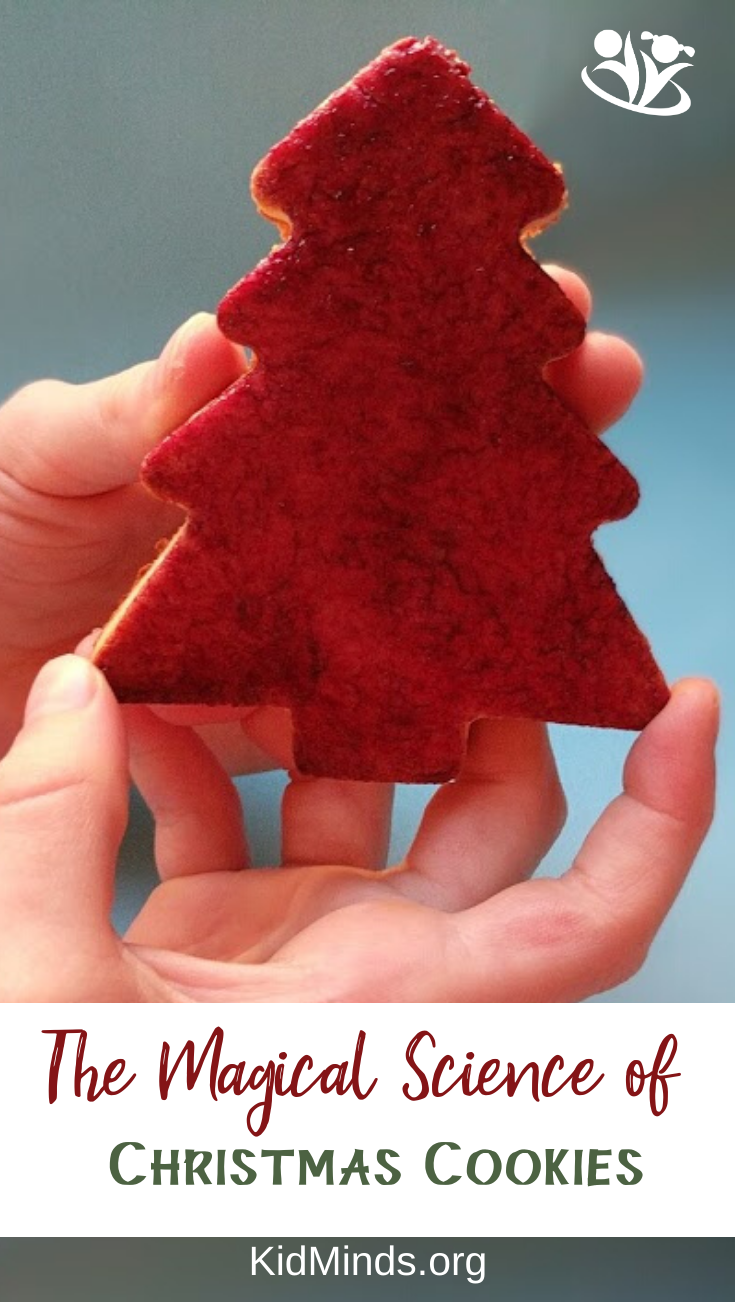 Awesome Science of Christmas Cookies (Magic Cookie Experiments) | KidMinds