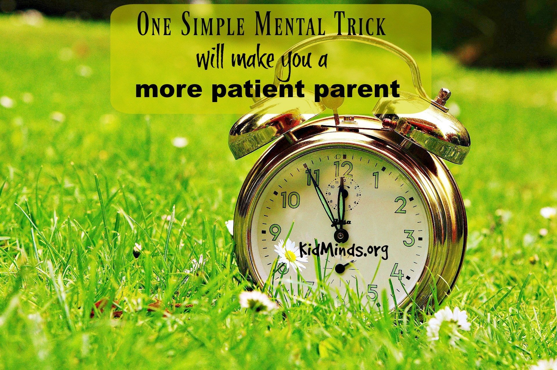 How to be a more Patient Parent: the one simple trick you need in your ...