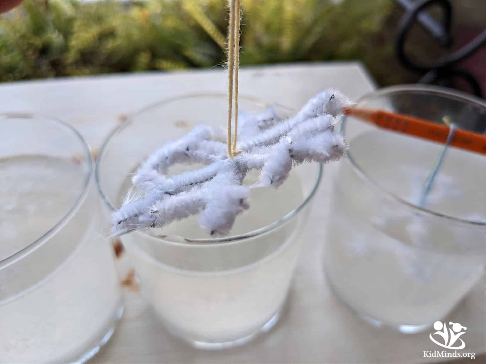How to Make Crystal Snowflakes from Borax | KidMinds