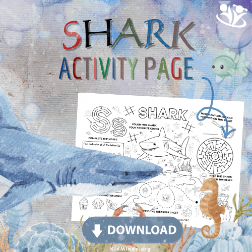 The Best Shark Activity Page for Kids (Free PDF) | KidMinds