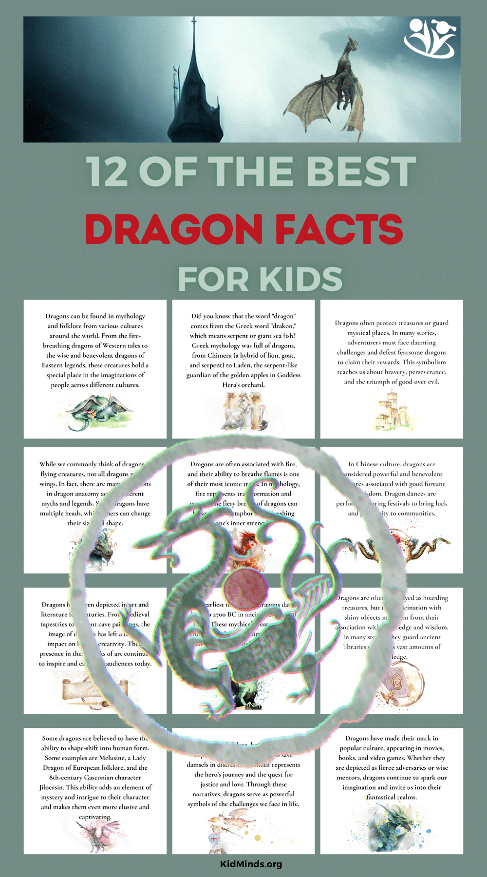 The Best Dragon Facts for Kids (FREE Printable) | KidMinds