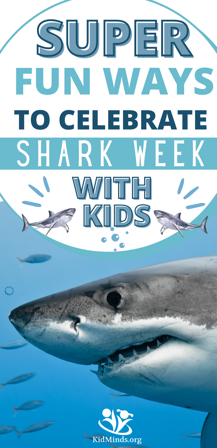7 Exciting Ways to Celebrate Shark Week With Kids | KidMinds