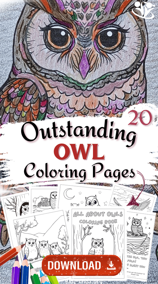The Best Owl Coloring Pages for Kids (Free PDF) | KidMinds