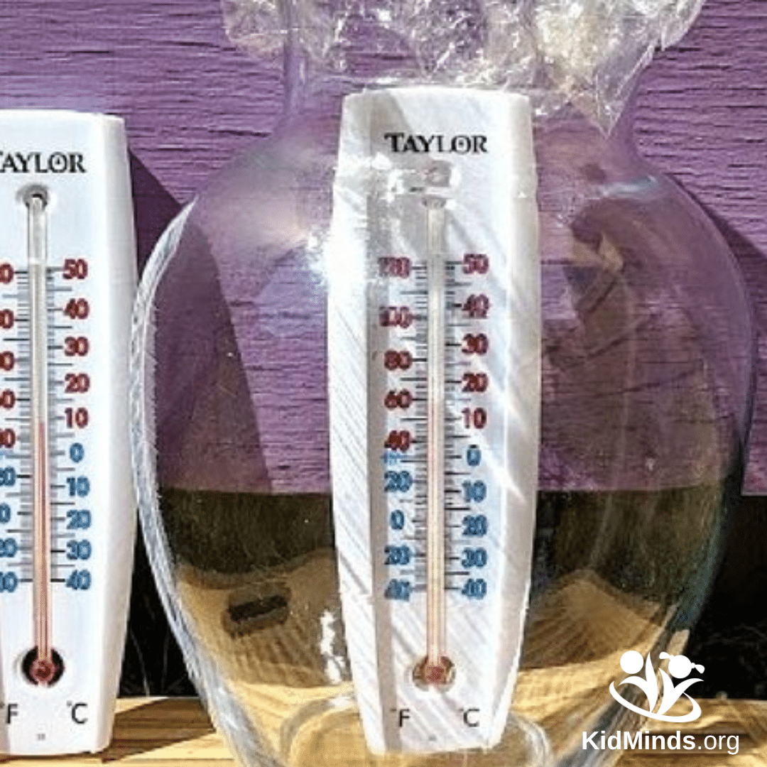 15 Easy Mind Blowing Science Activities to Do Outside | KidMinds