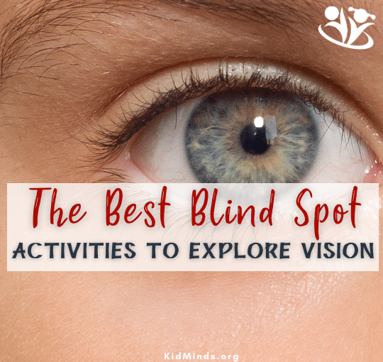 Fun and Easy Science Activities for Curious Kids | KidMinds