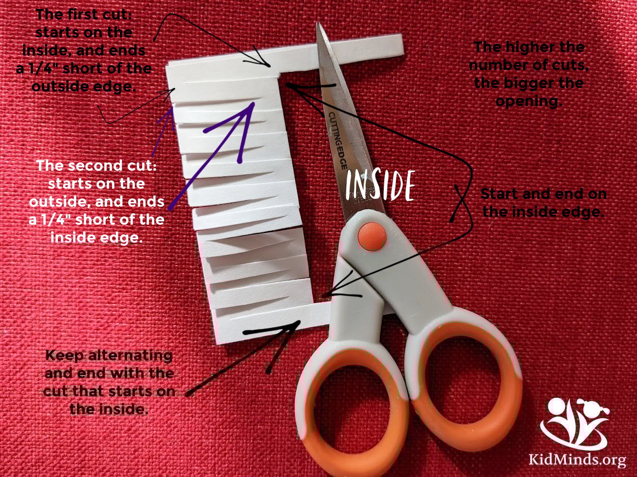 The Best Index Card Science (Works Like Magic) | KidMinds